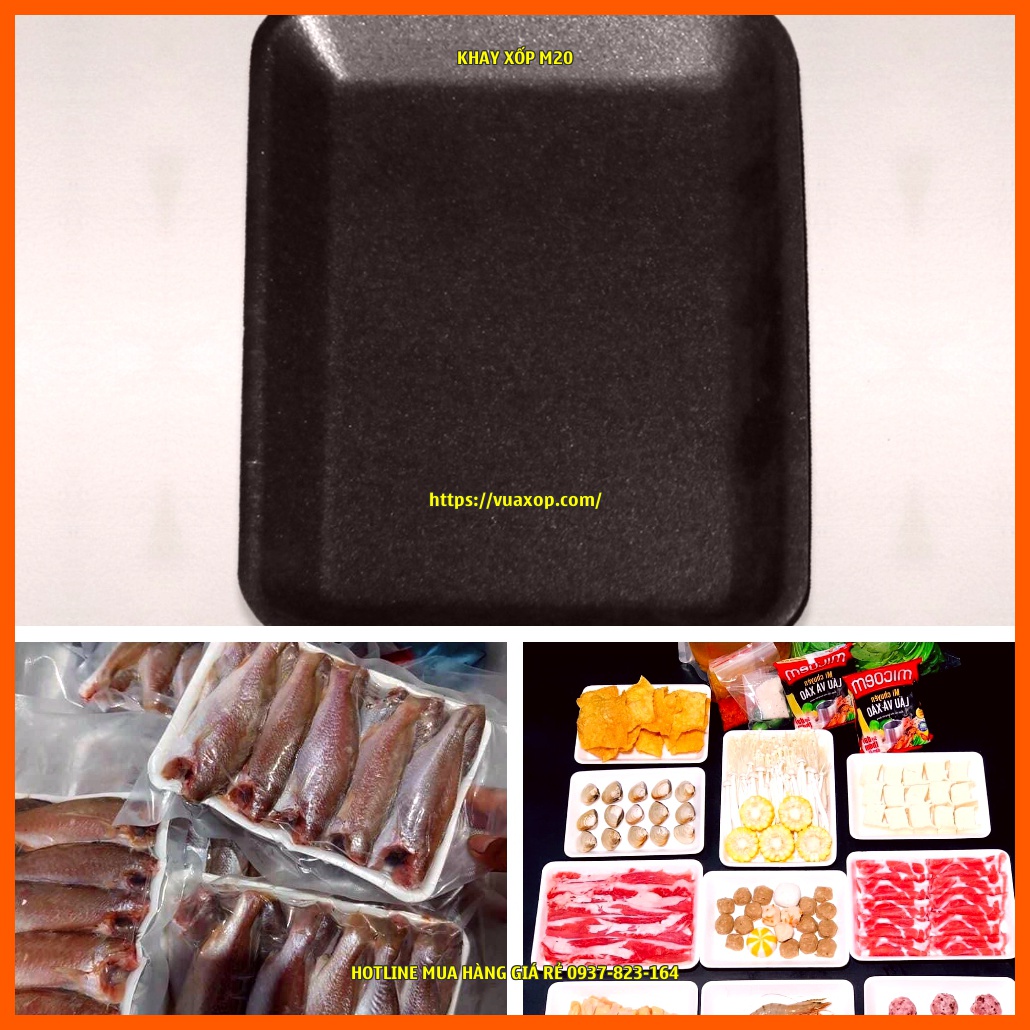 Khay xốp M20