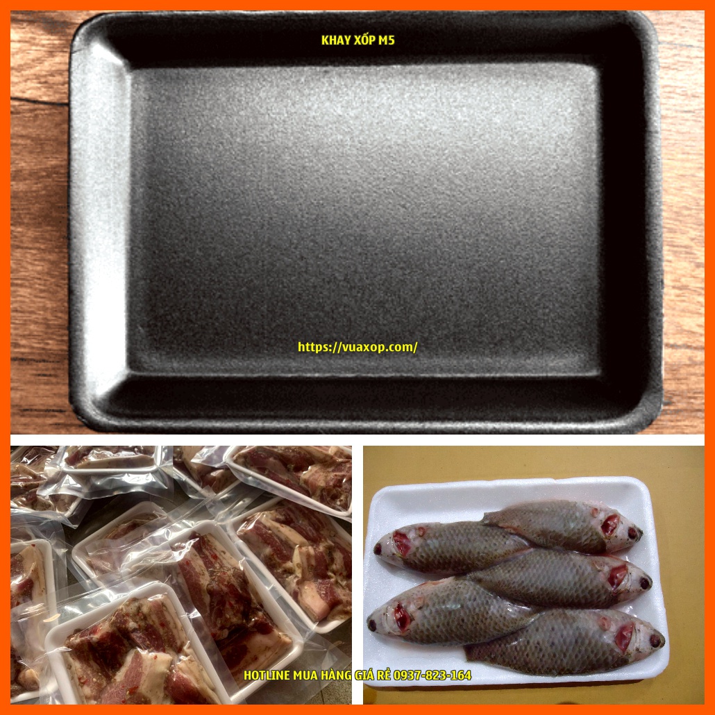 Khay xốp M5